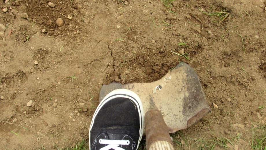 What is Well-Drained Soil? How to Assess Soil Drainage