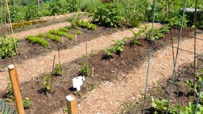 How to Create No-Dig Raised Beds