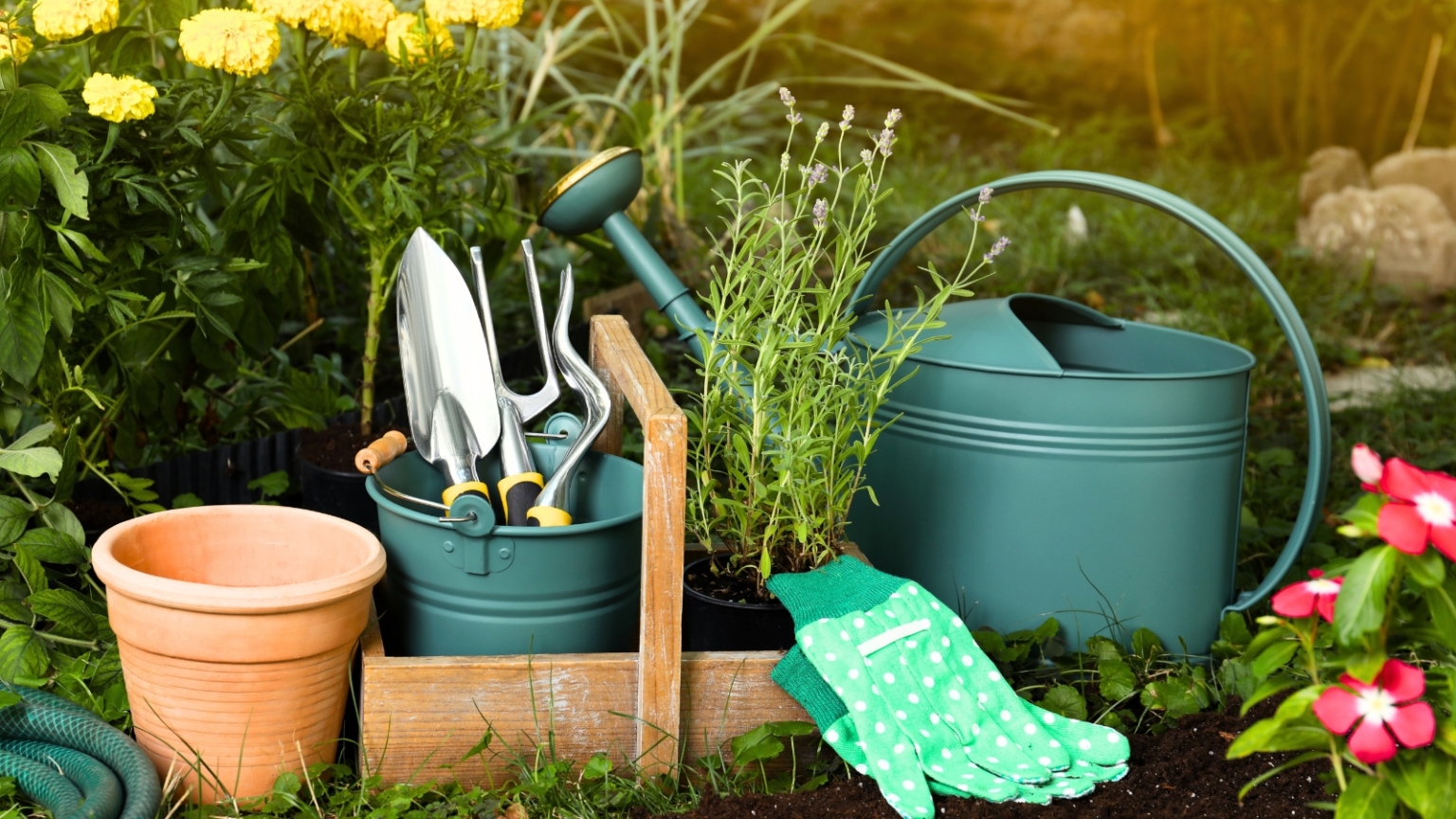 15 Gardening Supplies and Tools To Stock Up on This Labor Day