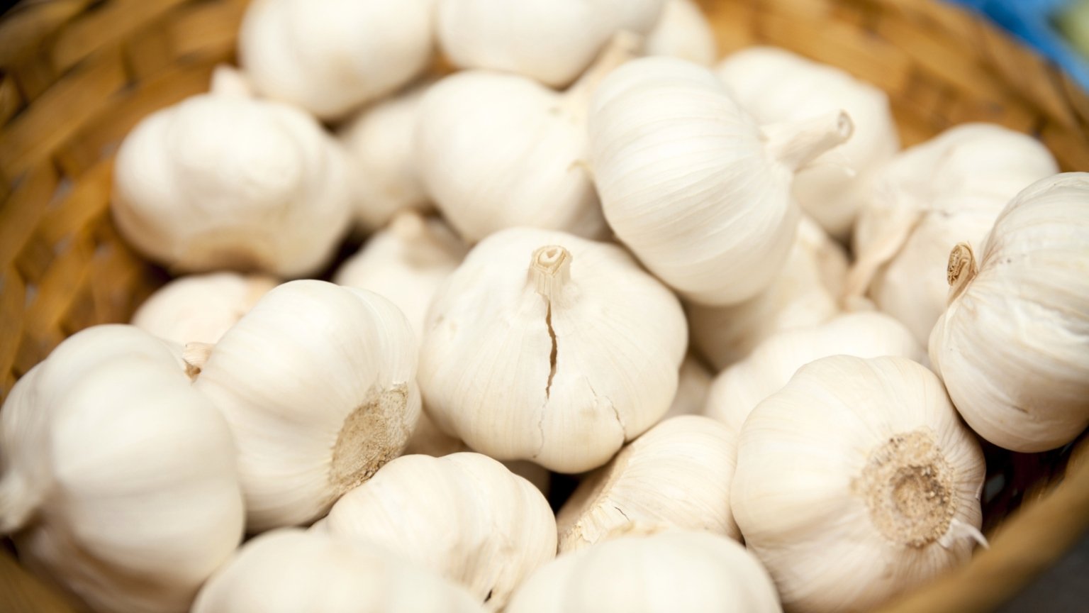 How to Plant, Grow, and Care for German White Stiffneck Garlic