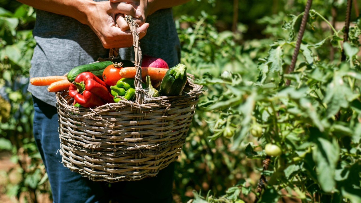 When To Harvest Your Fruits and Vegetables For Peak Flavor
