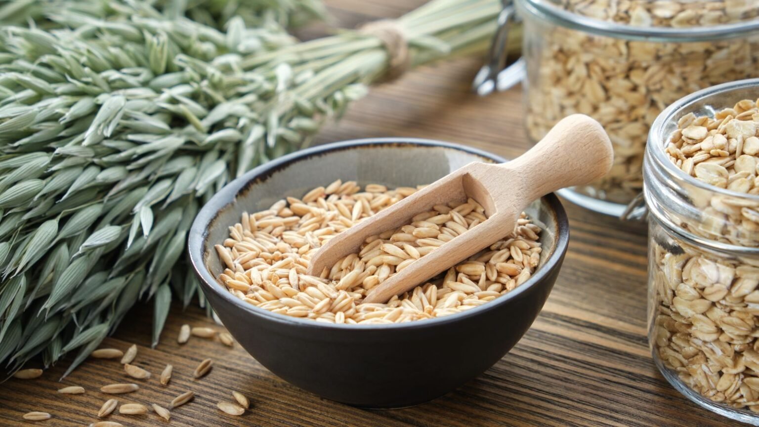 How to Plant, Grow, and Care for Oats