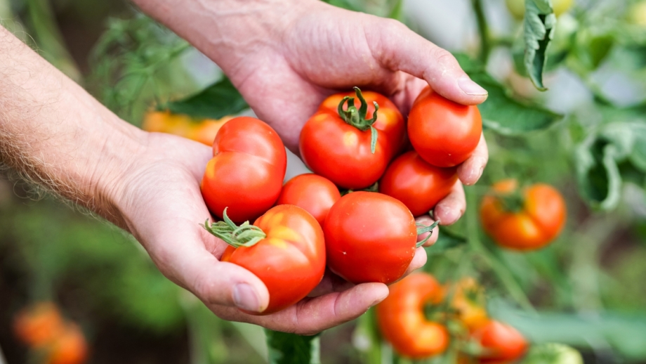 You're Harvesting These 11 Crops Too Late