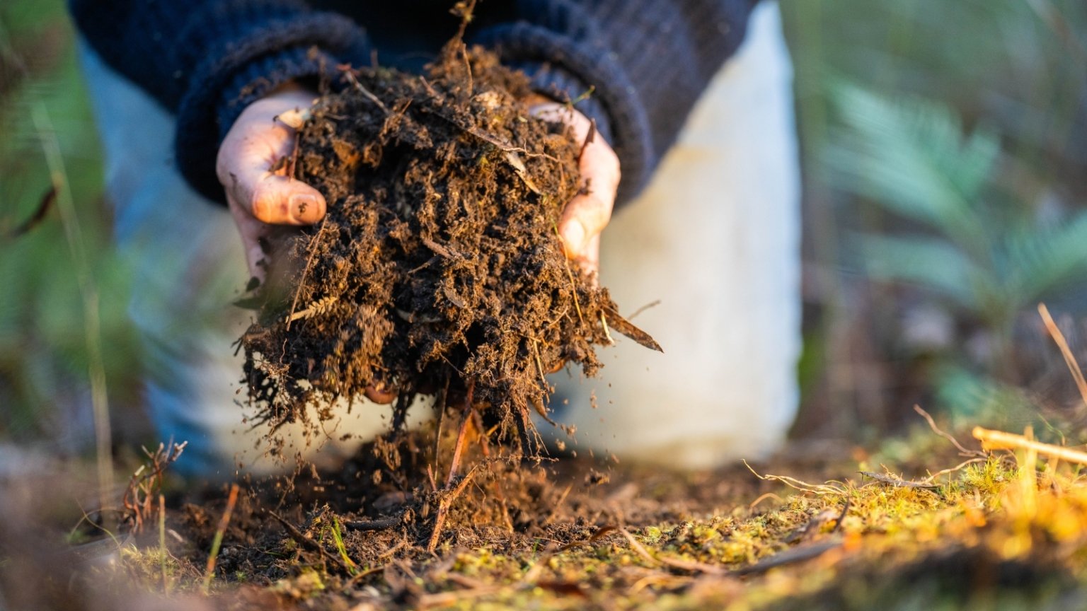 What is Well-Drained Soil? How to Assess Soil Drainage