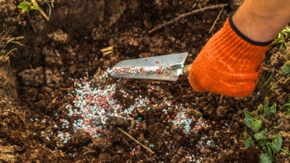 7 Benefits of Langbeinite Fertilizer