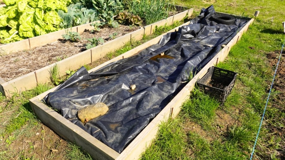 How to Create No-Dig Raised Beds