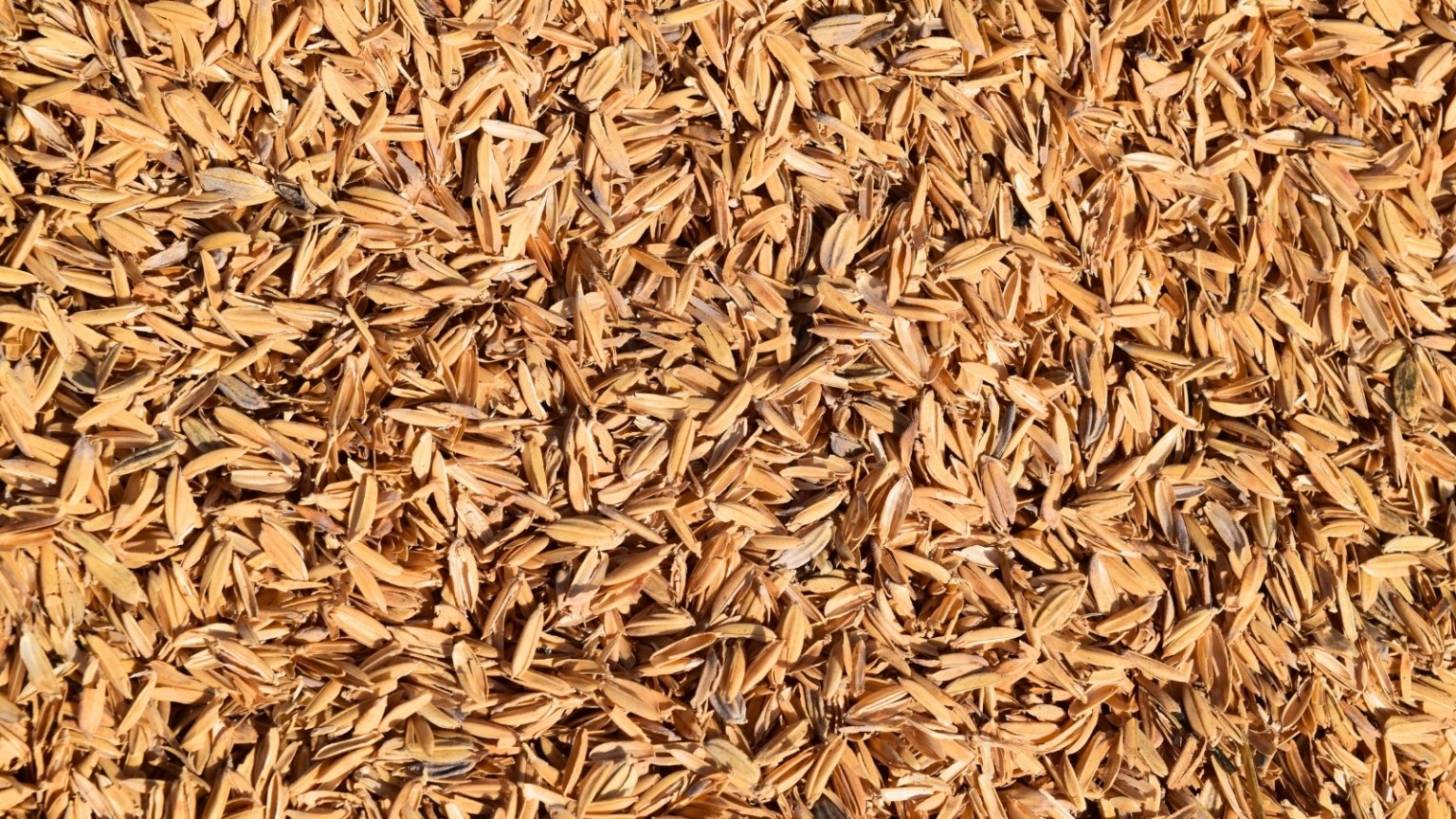 How and Why to Use Rice Hulls in the Garden