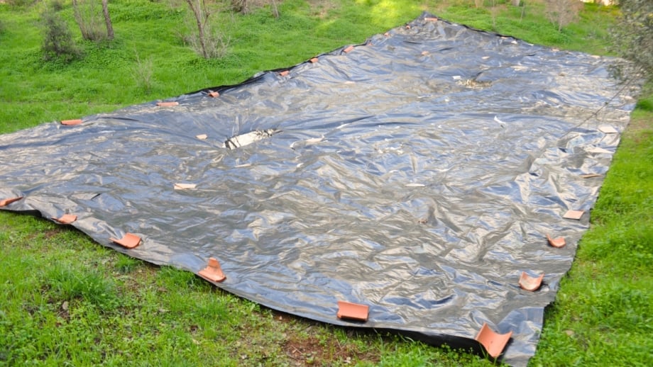 How to Get Rid of Stubborn Ground Covers: 7 Tips and Tricks