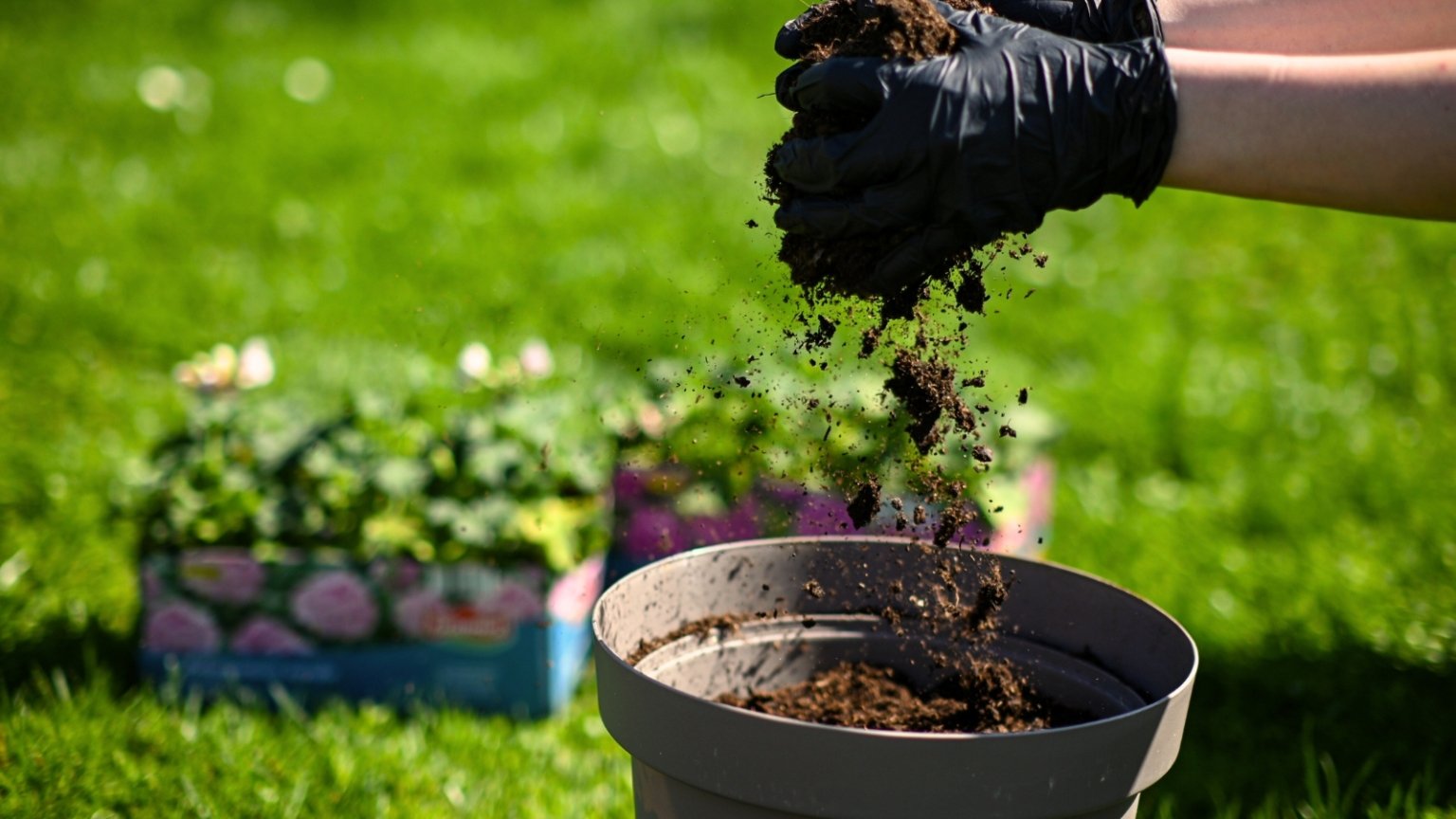 Filling Pots, Containers and Raised Beds: How to Use a Soil Calculator