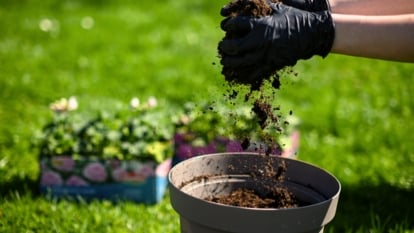 Filling Pots, Containers and Raised Beds: How to Use a Soil Calculator