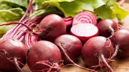 How to Plant, Grow, and Care For ‘Chioggia’ Beets