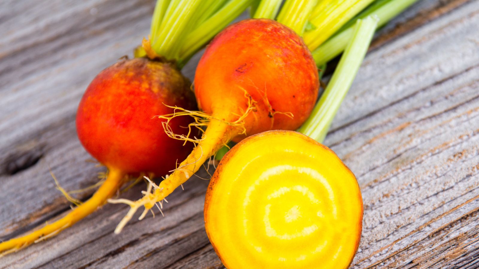 11 Beet Varieties You Can Plant In Fall