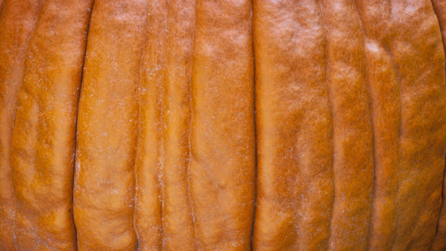 5 Signs Your Pumpkins Are Ready to Harvest