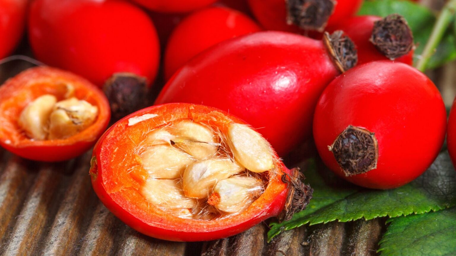 How to Collect and Plant Rose Seeds in 7 Steps