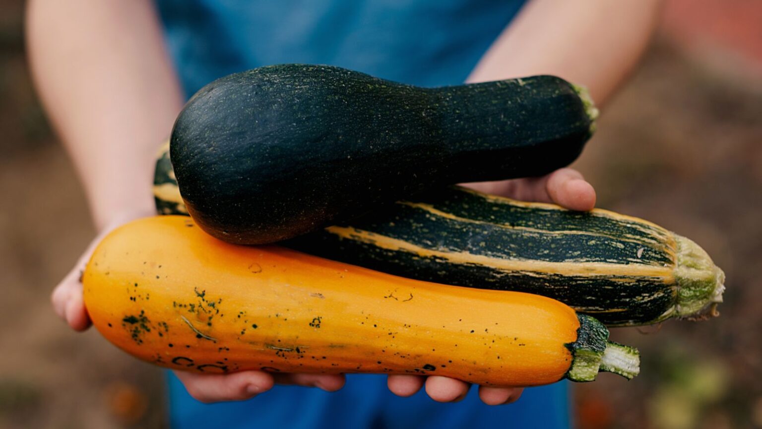 Saving Squash Seeds for Next Year's Garden: 7 Pro Tips