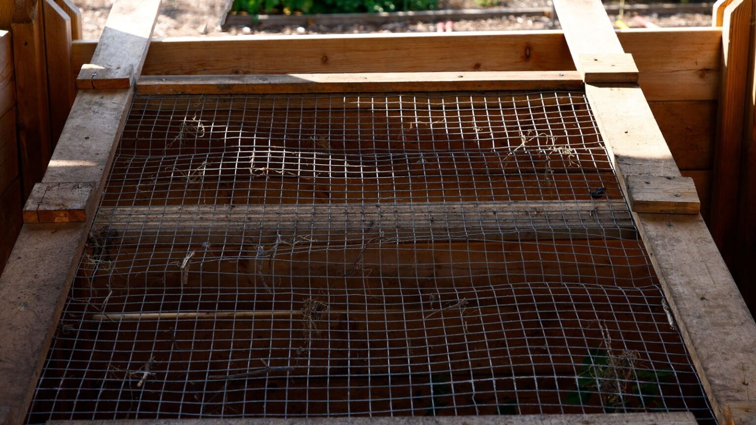 How to Harvest Worm Castings 4 Ways