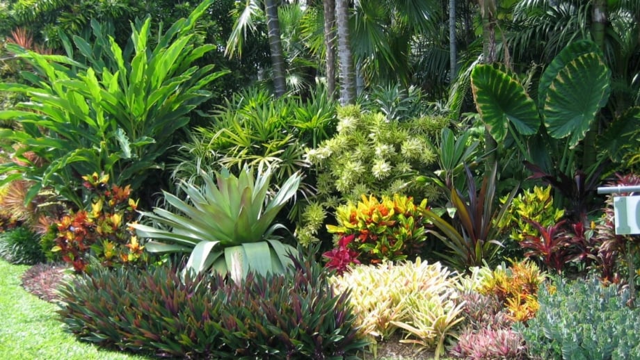 31 Stunning Plants For a Coastal Garden