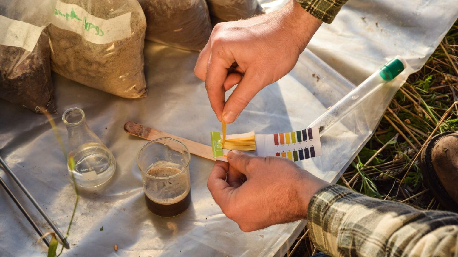 How To Lower Soil pH Or Raise Soil pH