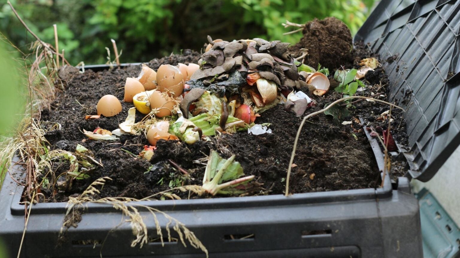 Why Your Compost Pile Smells Bad and How to Fix It