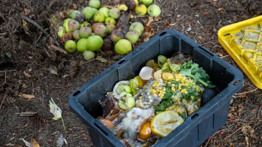 Why Your Compost Pile Smells Bad and How to Fix It