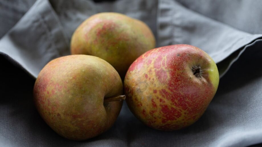15 Sweetest Apple Varieties to Harvest this Season