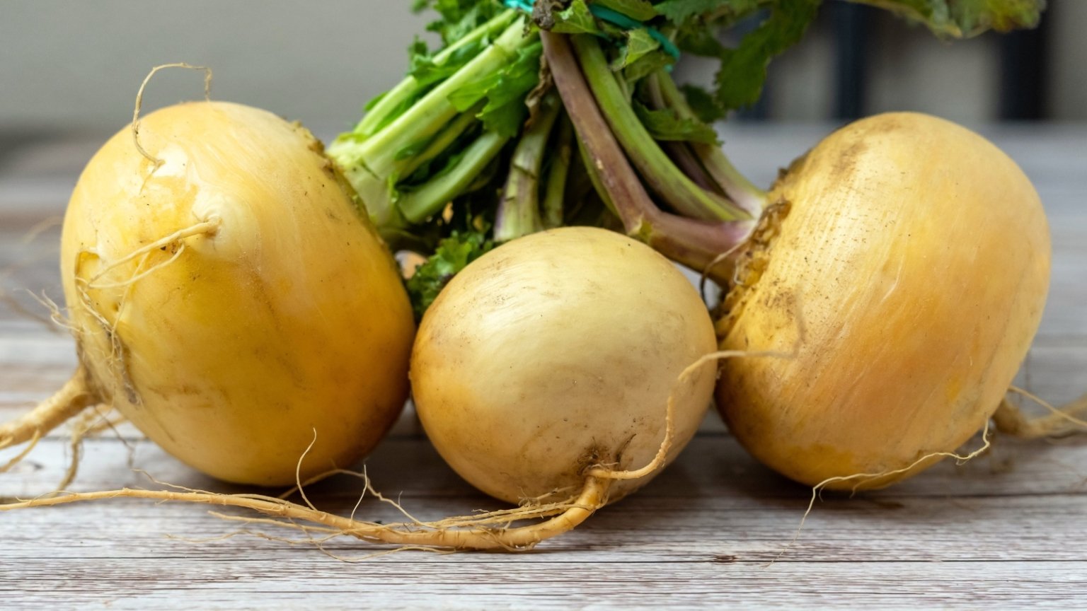 21 Delicious Turnip Varieties for the Fall Garden