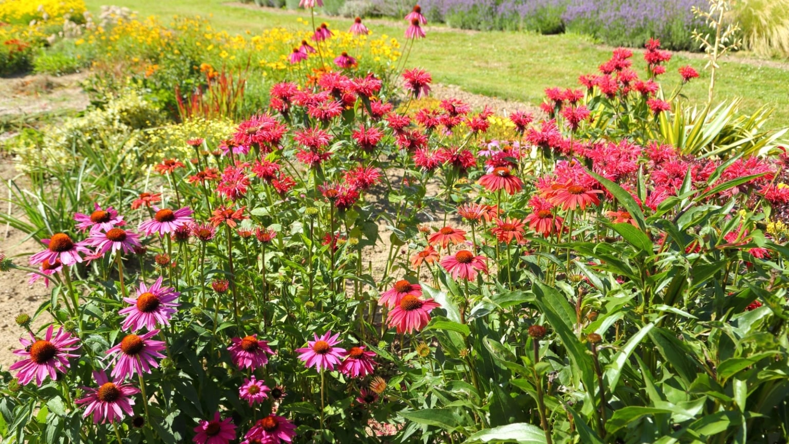 37 Herb Garden Design Ideas