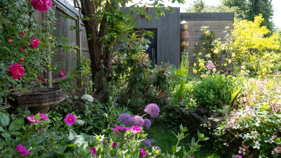 7 Benefits of a Messy Garden