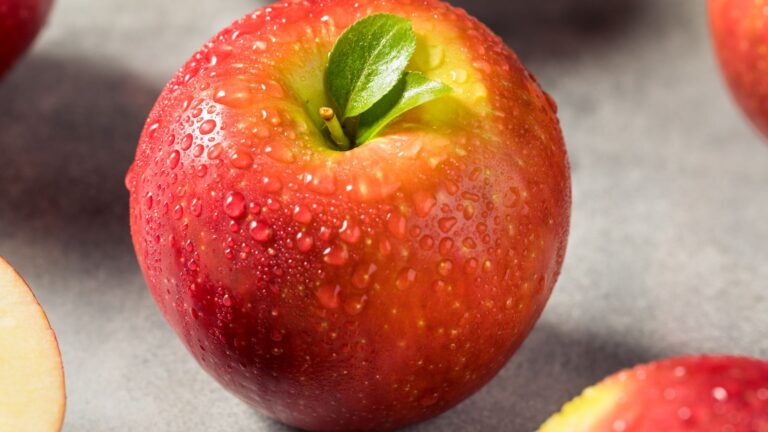 15 Sweetest Apple Varieties to Harvest this Season