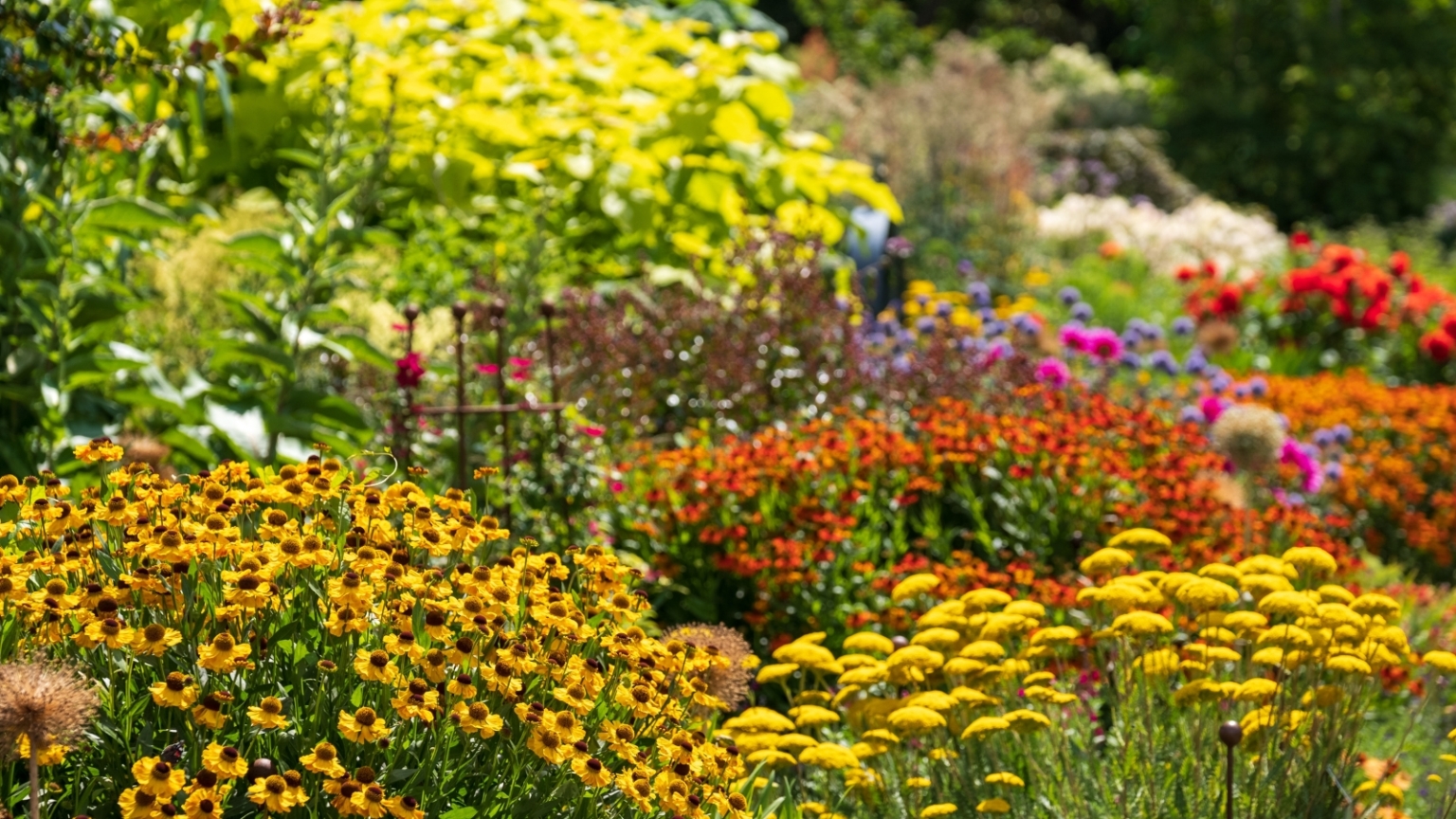 How To Create A Perennial Border That Works: 11 Recommendations