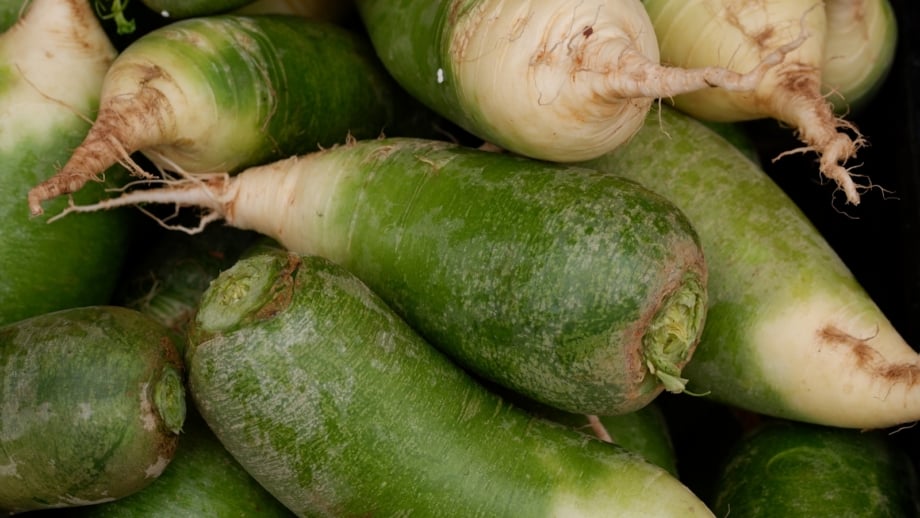 Fall vs. Spring Radishes: Recommended Varieties for Each Season