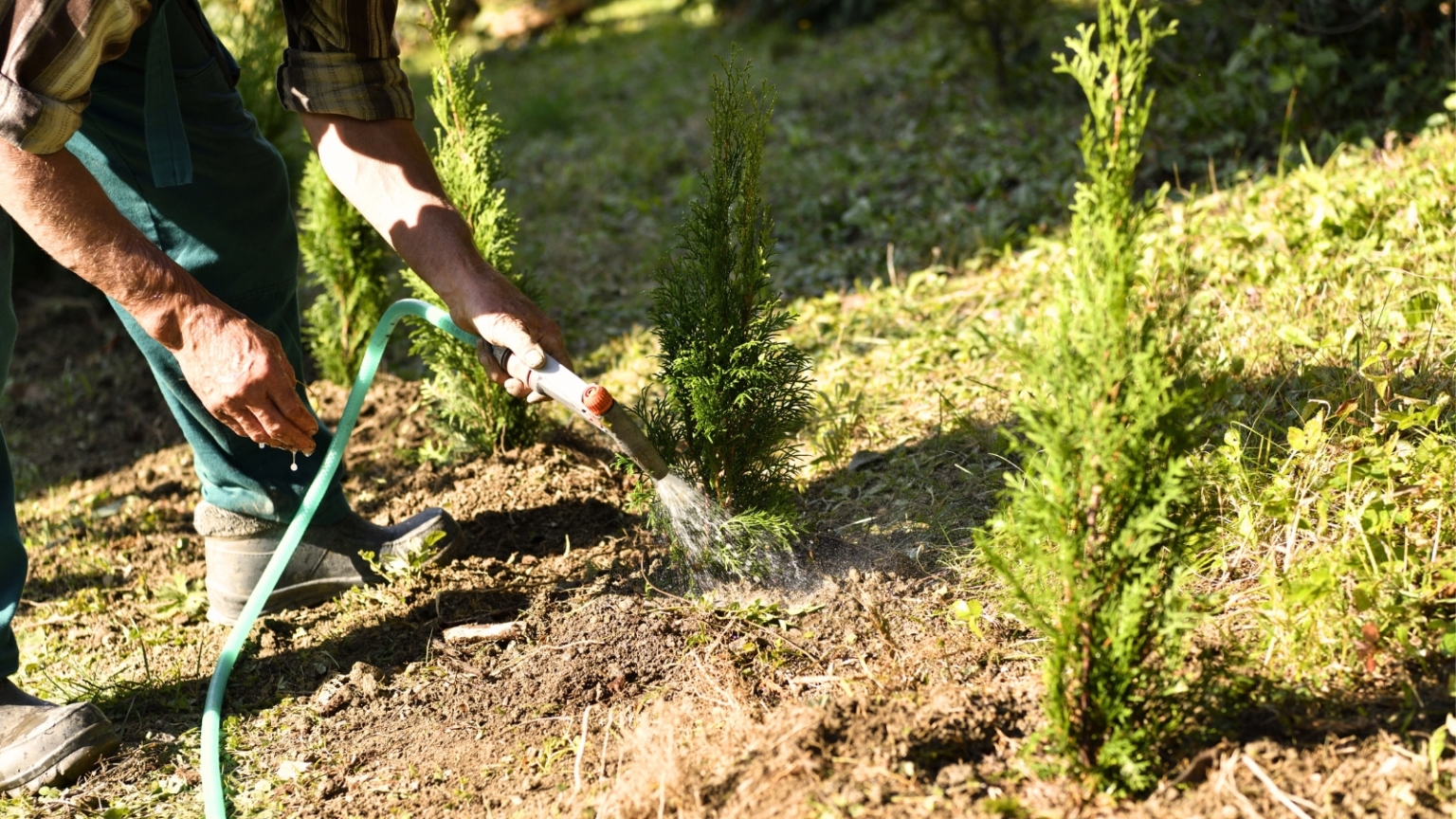 9 Tips For Watering the Fall Garden