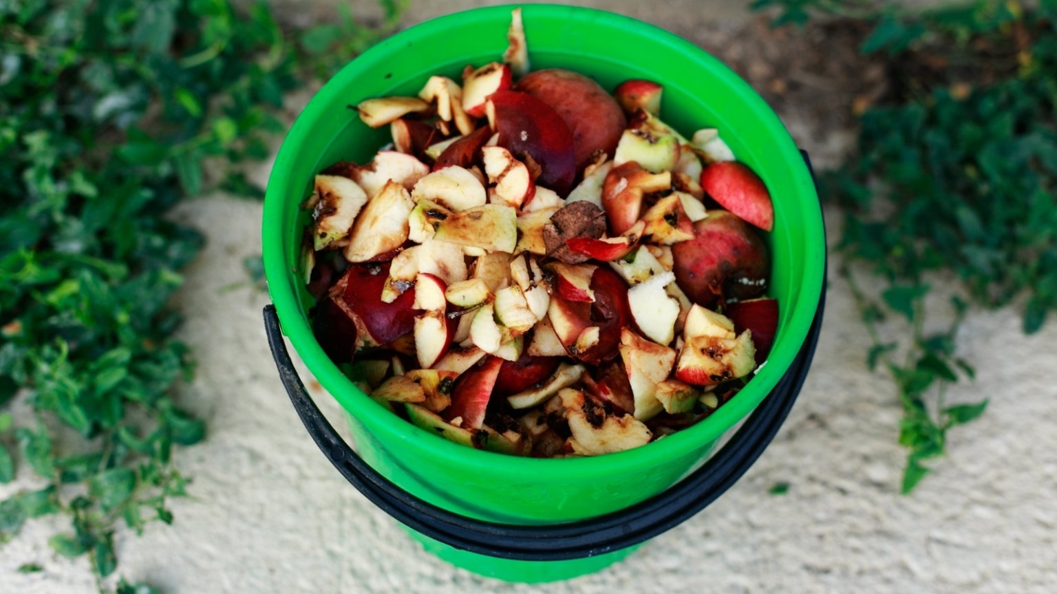 Composting with Kids: 7 Ways to Get Kids Excited About Compost