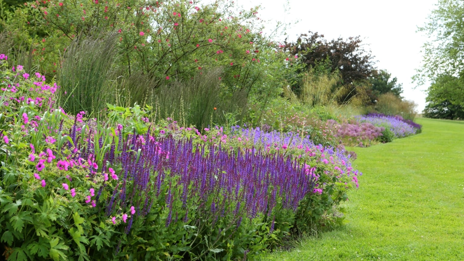 How To Create A Perennial Border That Works: 11 Recommendations