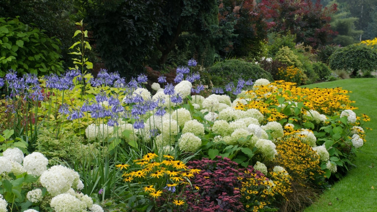 How To Create A Perennial Border That Works: 11 Recommendations
