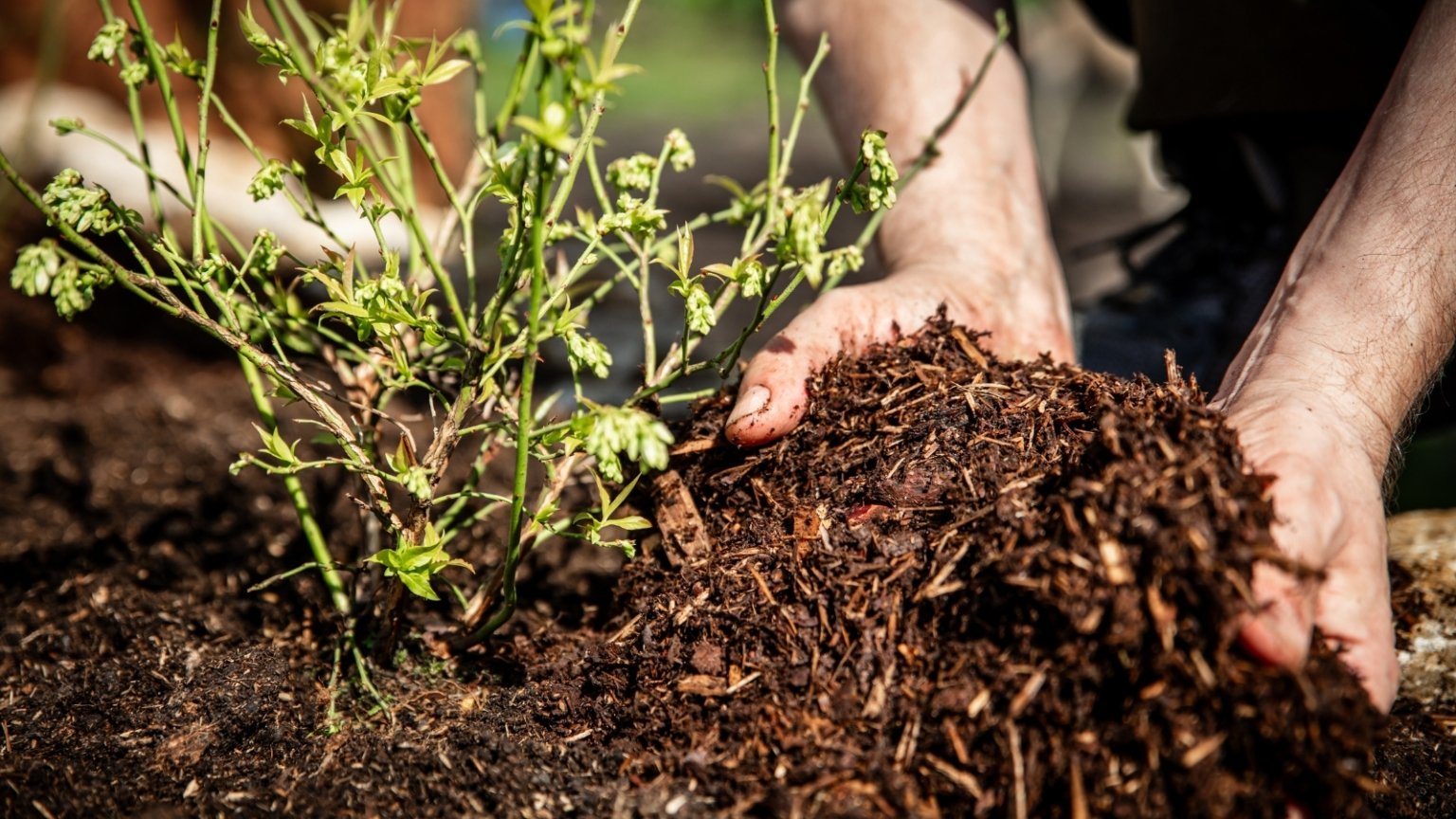 How To Spread Mulch The Right Way