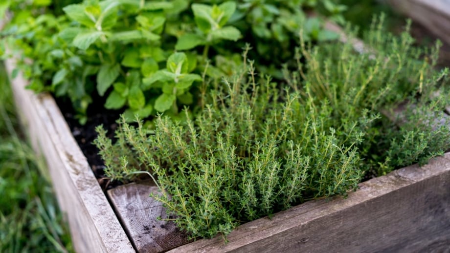 37 Herb Garden Design Ideas