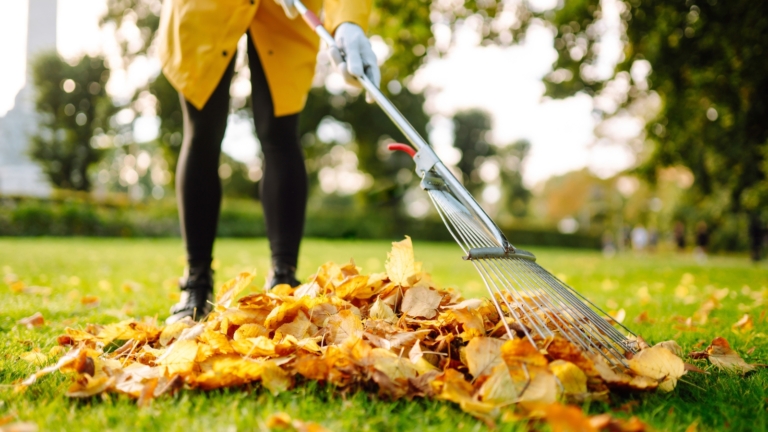 How and When to Clean Up the Spring Garden: Pollinator-Friendly Tips