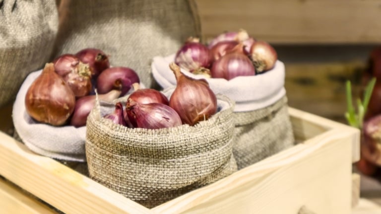 How to Cure and Store Onions in 9 Easy Steps