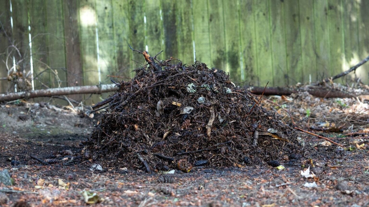 Why Your Compost Pile Smells Bad and How to Fix It
