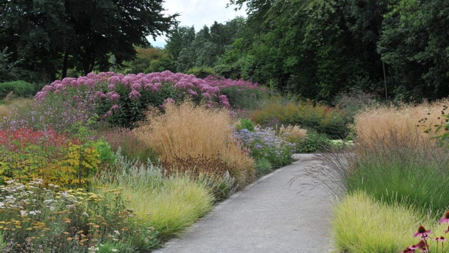 How To Create A Perennial Border That Works: 11 Recommendations
