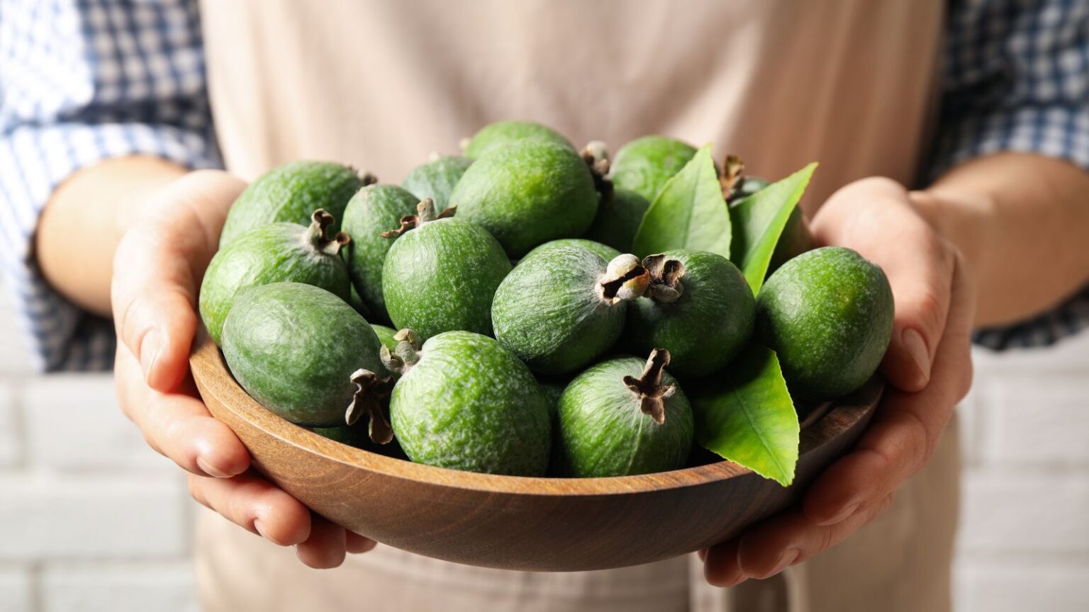 How to Plant, Grow, and Care for Pineapple Guava Tree