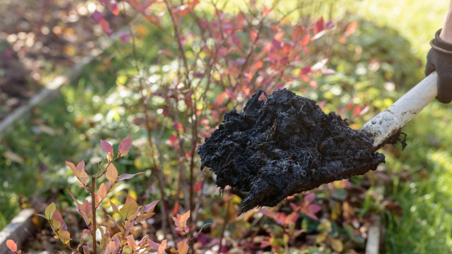 Do Fall Leaves Make Good Compost?