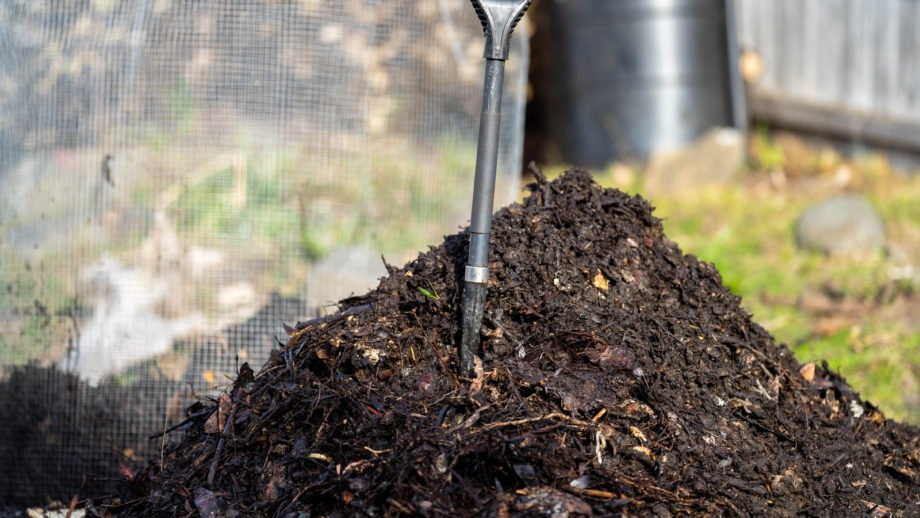 Hot vs. Cold Compost: Which Is Right For Your Garden?