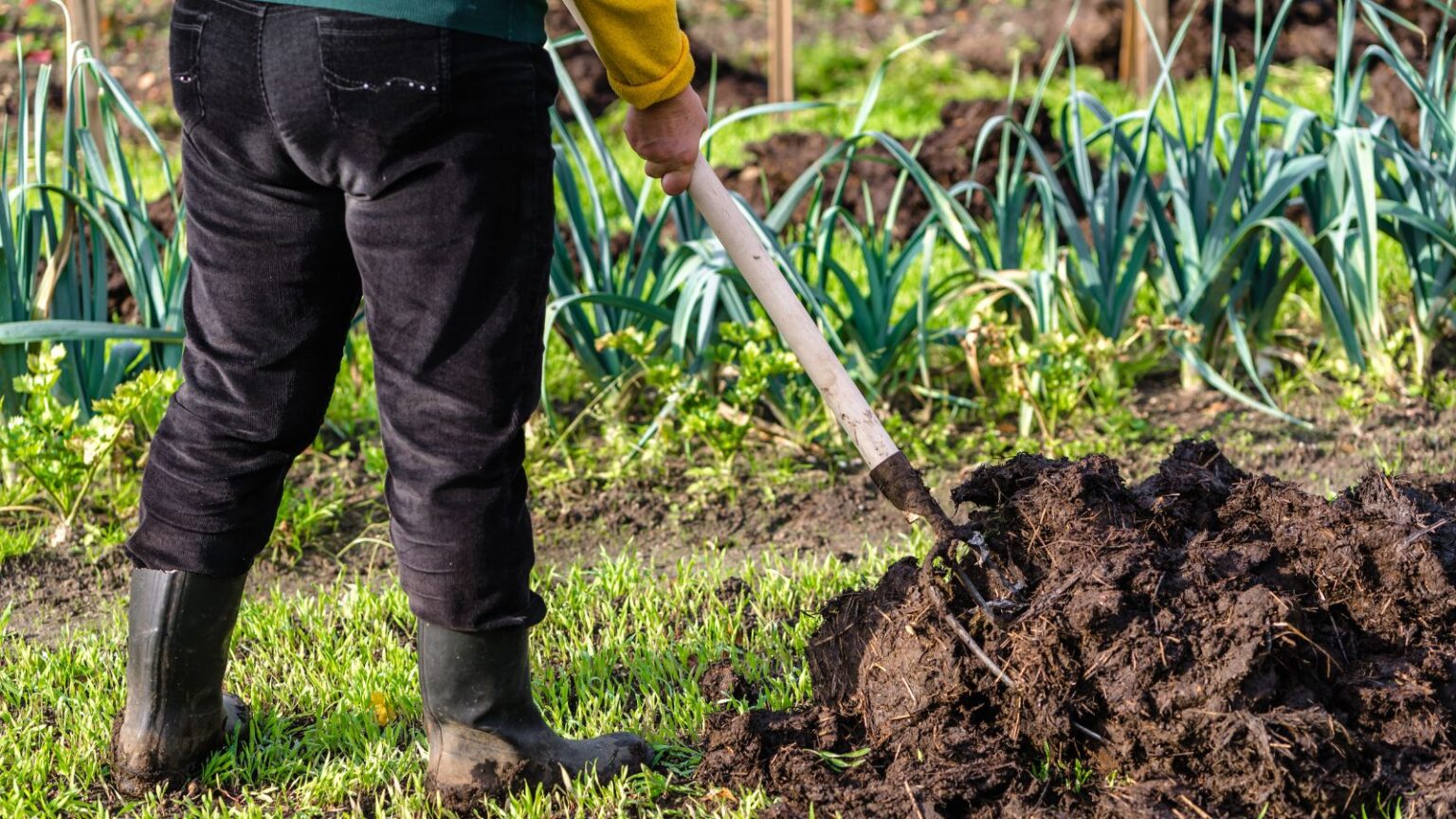Why Your Compost Pile Smells Bad and How to Fix It