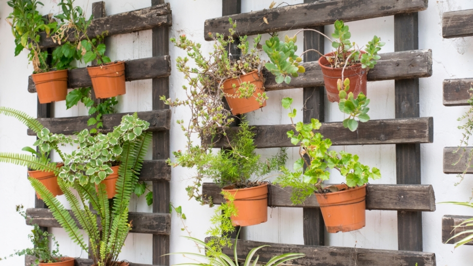 37 Herb Garden Design Ideas
