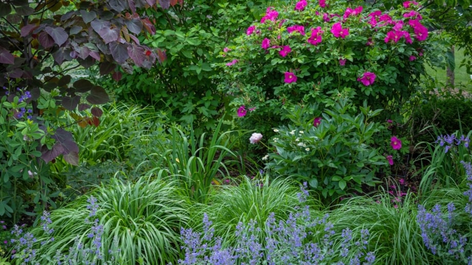 How To Create A Perennial Border That Works: 11 Recommendations