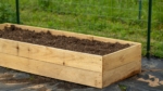 Grow Fruit Trees in Raised Beds: A Step-by-Step Guide