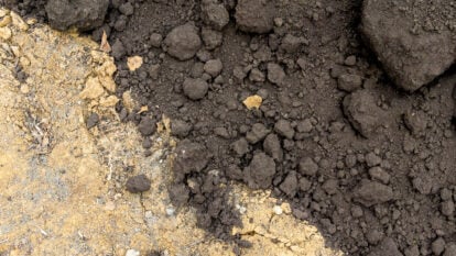 How to Amend and Improve Clay Soil