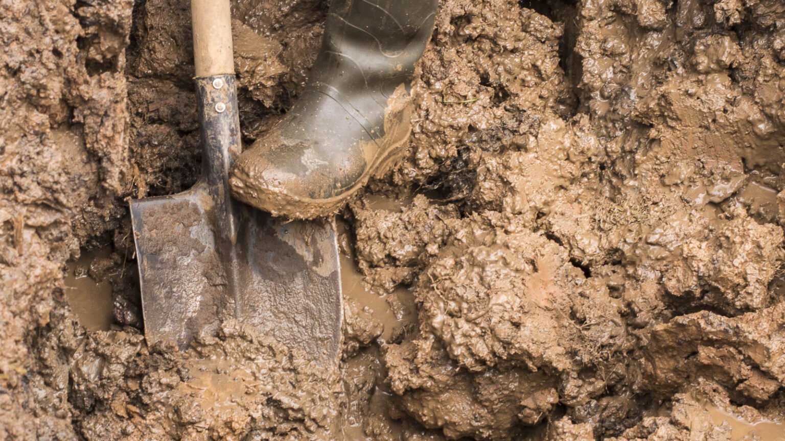 How to Amend and Improve Clay Soil
